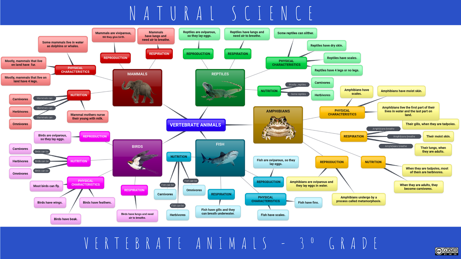 Bubbl, new tool to make great mind maps!
