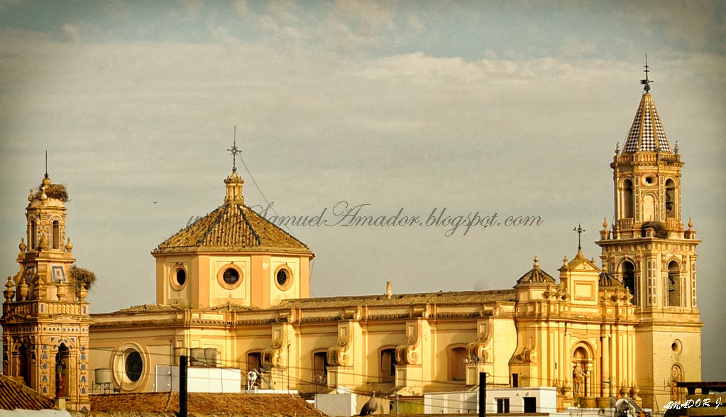 ALGUNAS FOTOS DE ARAHAL QUE TOME ESTA SEMANA