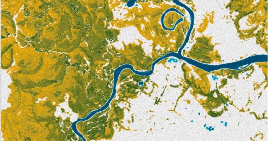 INGENIERIA FORESTAL: Documentos "Colombia Anfibia Volumenes 1 y 2"