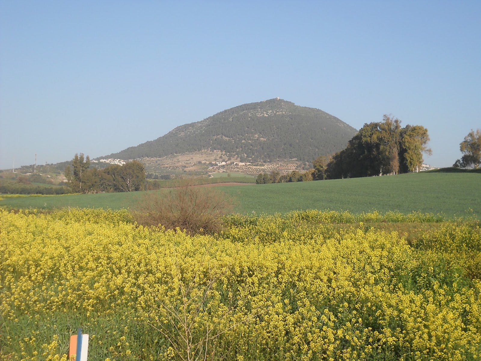 Idziemy dalej? Pranie, góra Tabor i ośli koncert ... Jak przejść ...