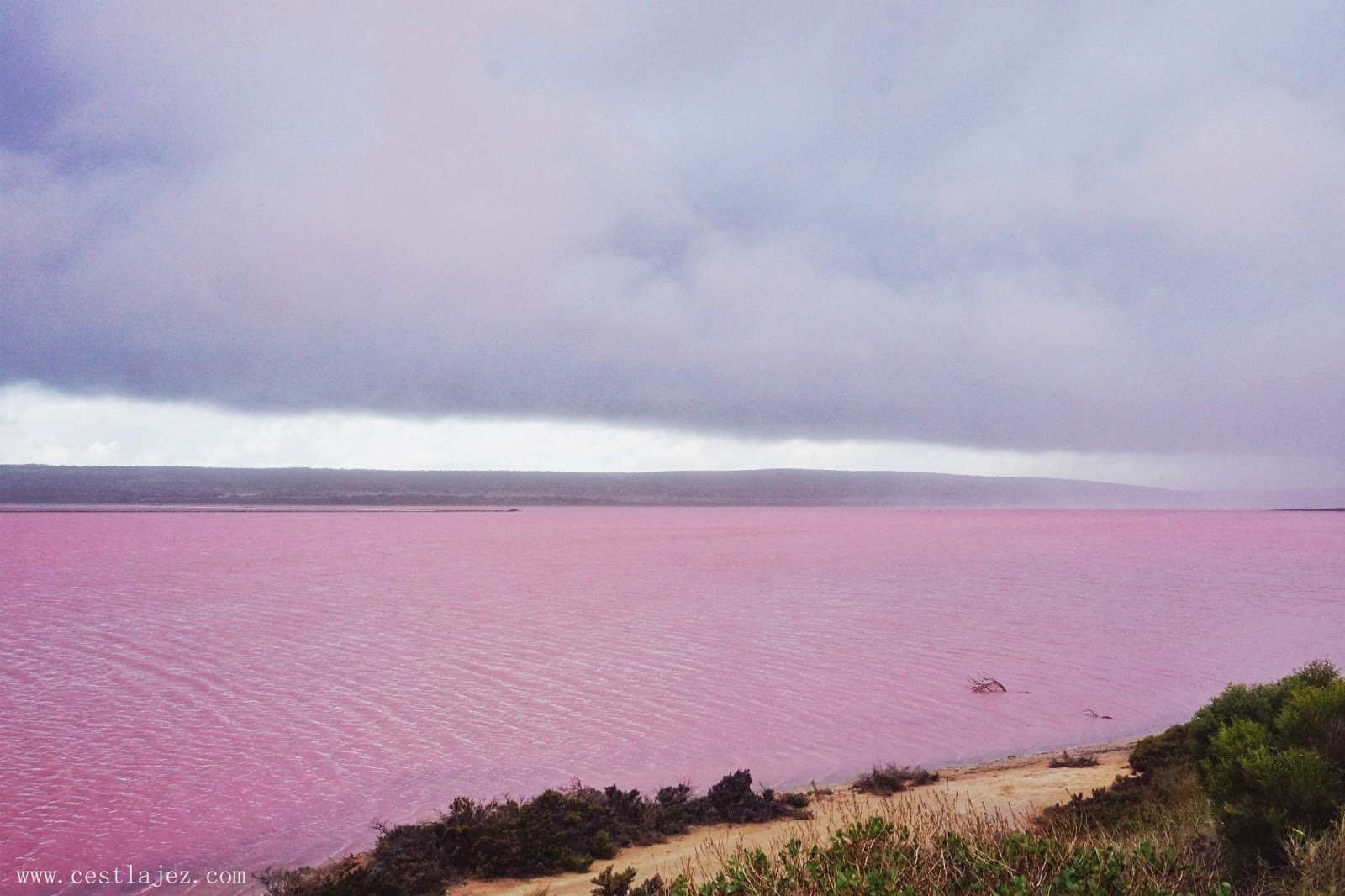 【澳洲·珀斯】根本就是草莓牛奶！粉紅湖 / 赫特潟湖 Pink Lake Hutt Lagoon 感到戀愛了 入住 Kalbarri ...