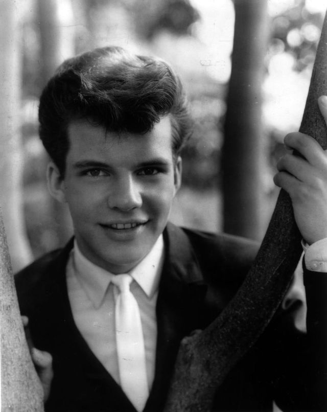 Bobby Vee: The Teen Idol of the 1960s ~ Vintage Everyday
