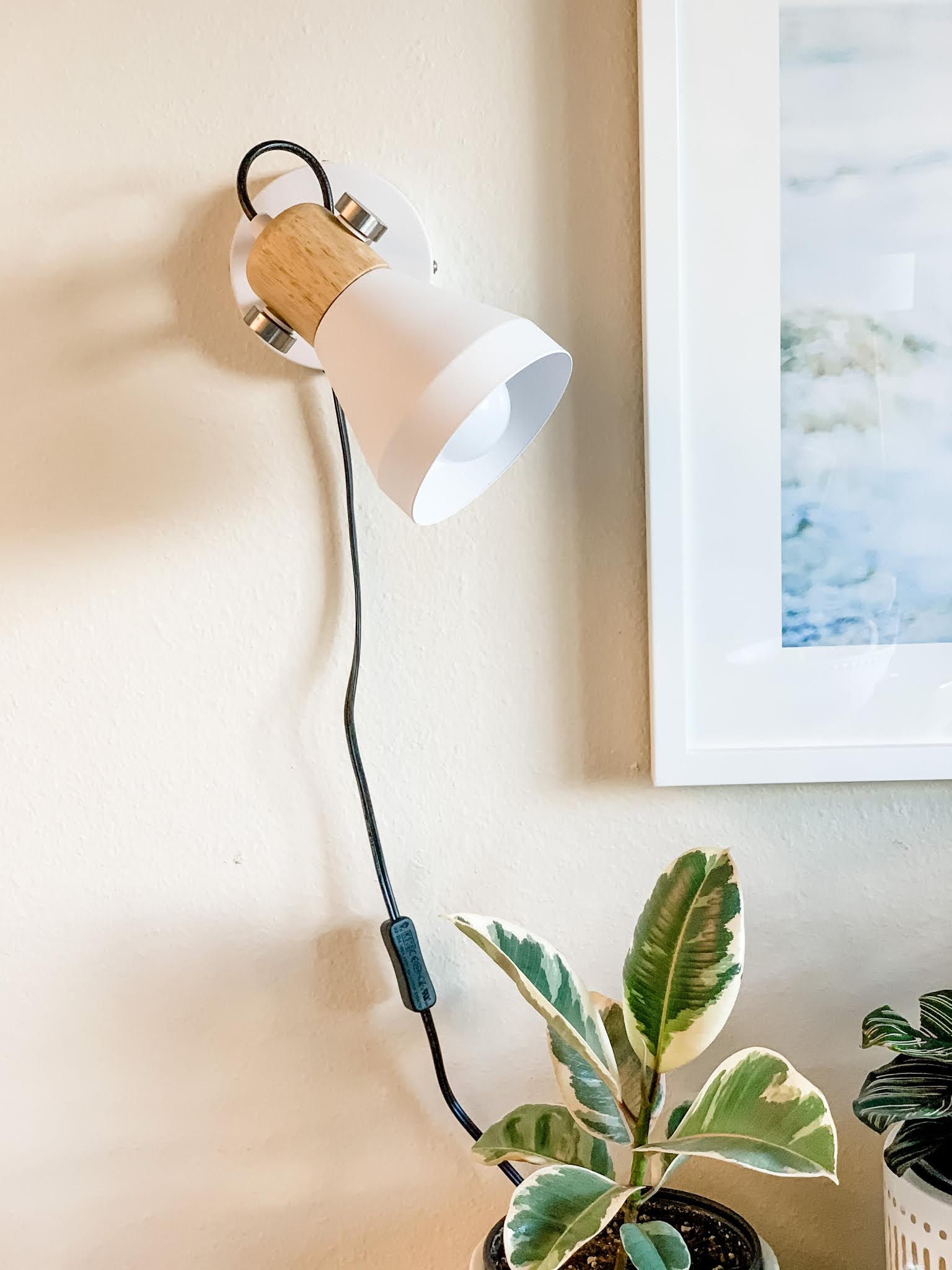 Grow Lights 101: Raising Houseplants in a Low-Light Home | Kayla Lynn ...