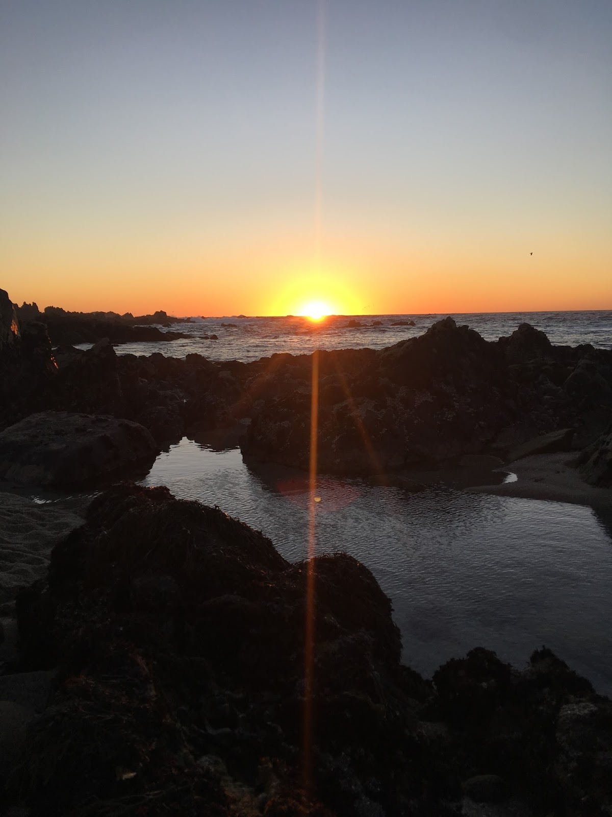 Monterey Bay Sunset Drive