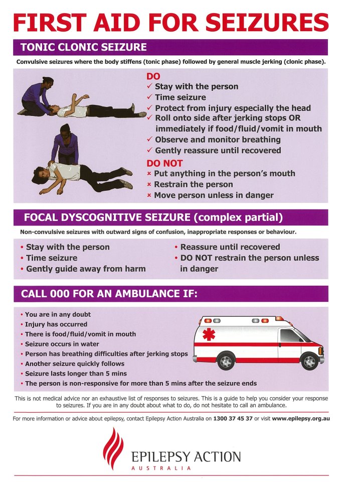 Henna's Journey...: First Aid For Seizures