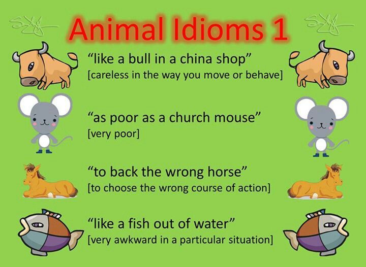 Mr Shakespeare Eat Your Heart Out Animal Idioms mr-shakespeare-eat-your-heart-out-animal-idioms