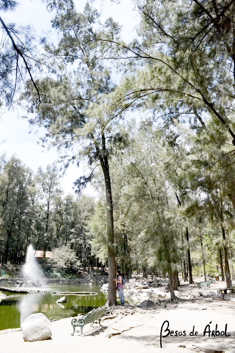 Besos de Árbol: Caminando por el parque Colomos