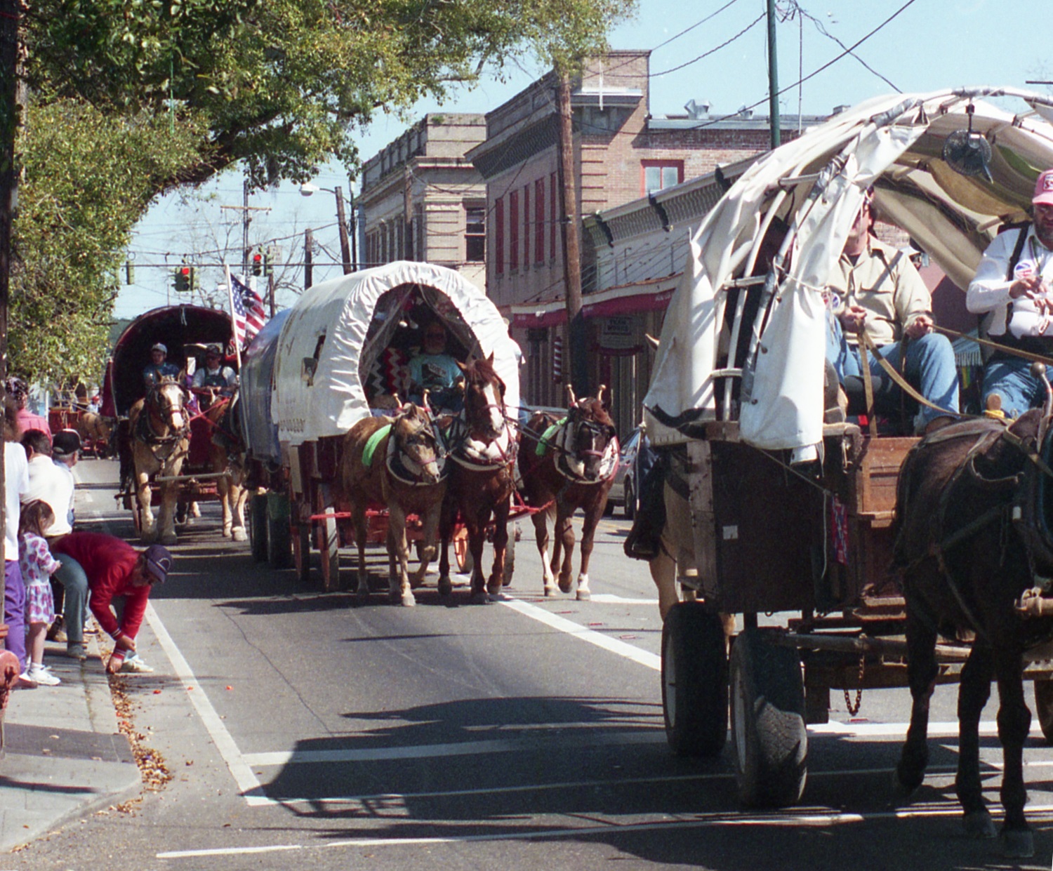 Tammany Family: Dixie Trail Ride