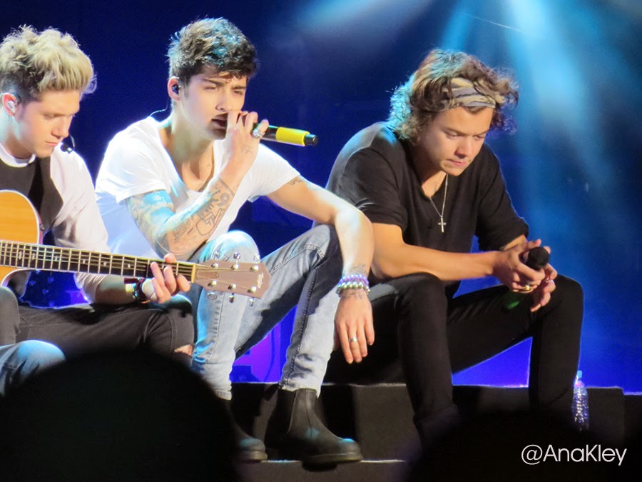 Viciadas por One Direction: Último Show do One Direction no Brasil