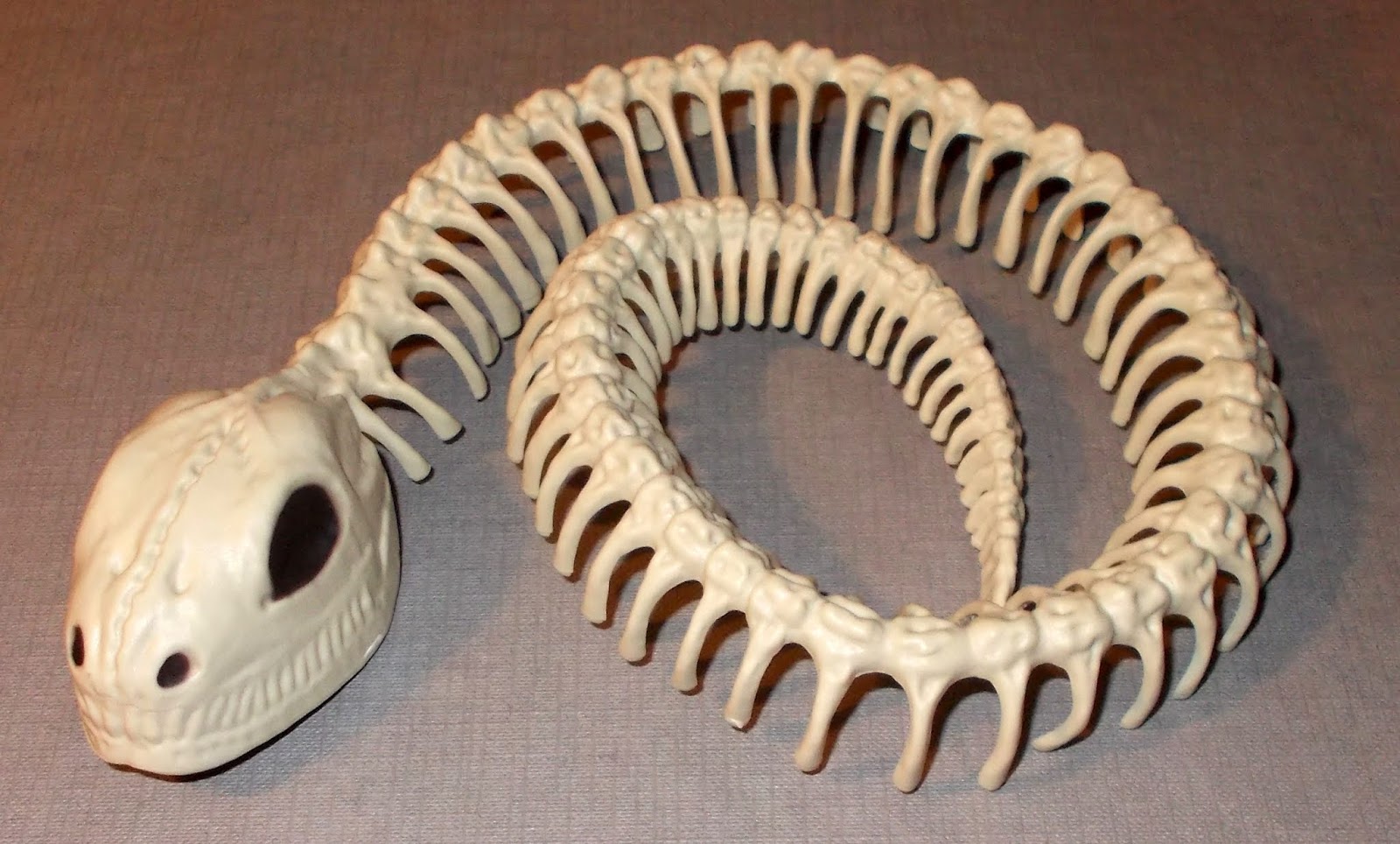 A is for All Hallows' Eve - Skeleton Snake, Snake Skeleton! | Small ...