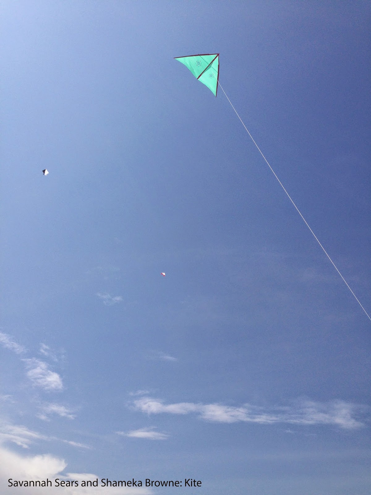 ELDS 205: Computer Aided Product Design: Savannah Sears and Shameka Browne