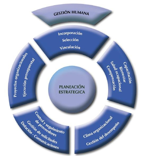 Gestión Humana: AREA DE GESTION HUMANA