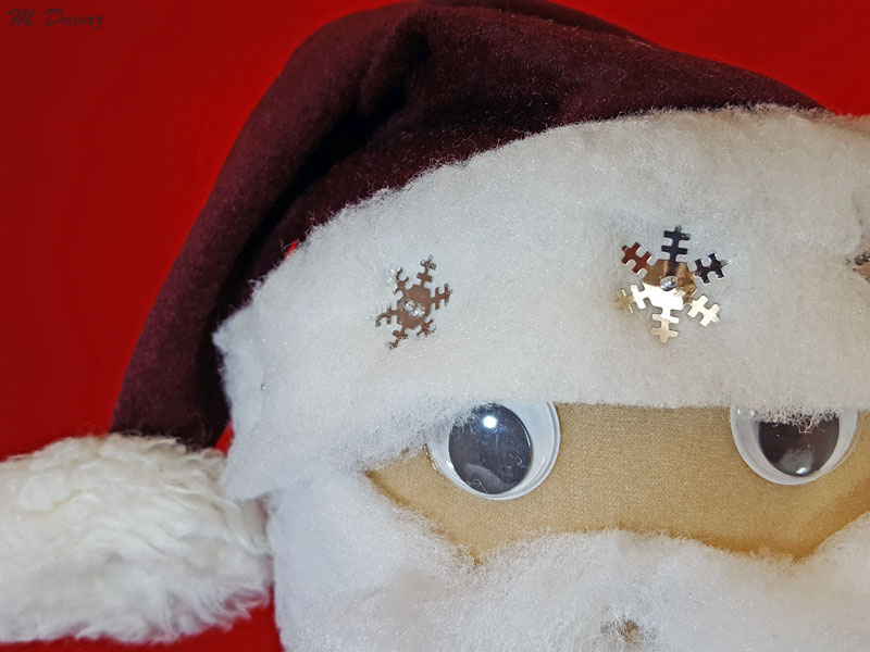 Studio Window: Elf Container