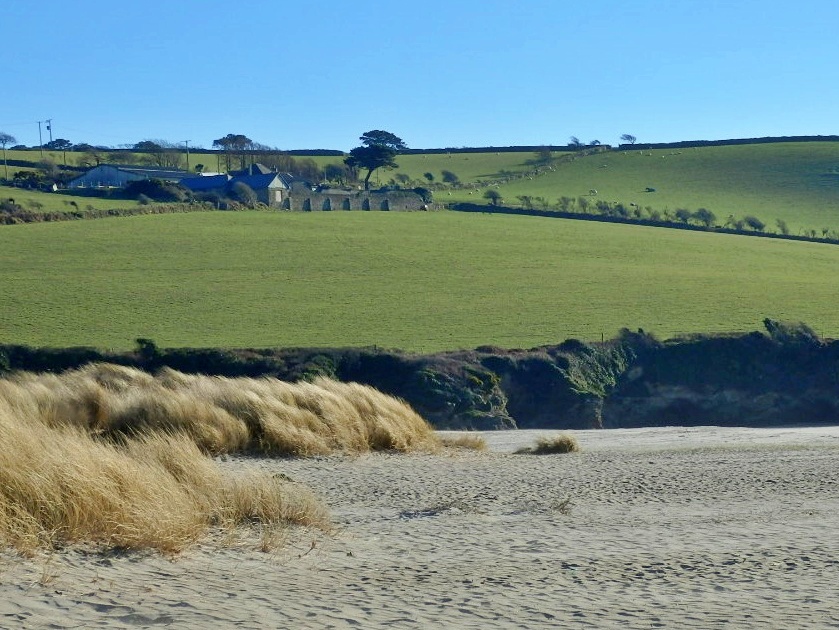 Mike's Cornwall: A Touch of Cornish Magic, Animals and Birds