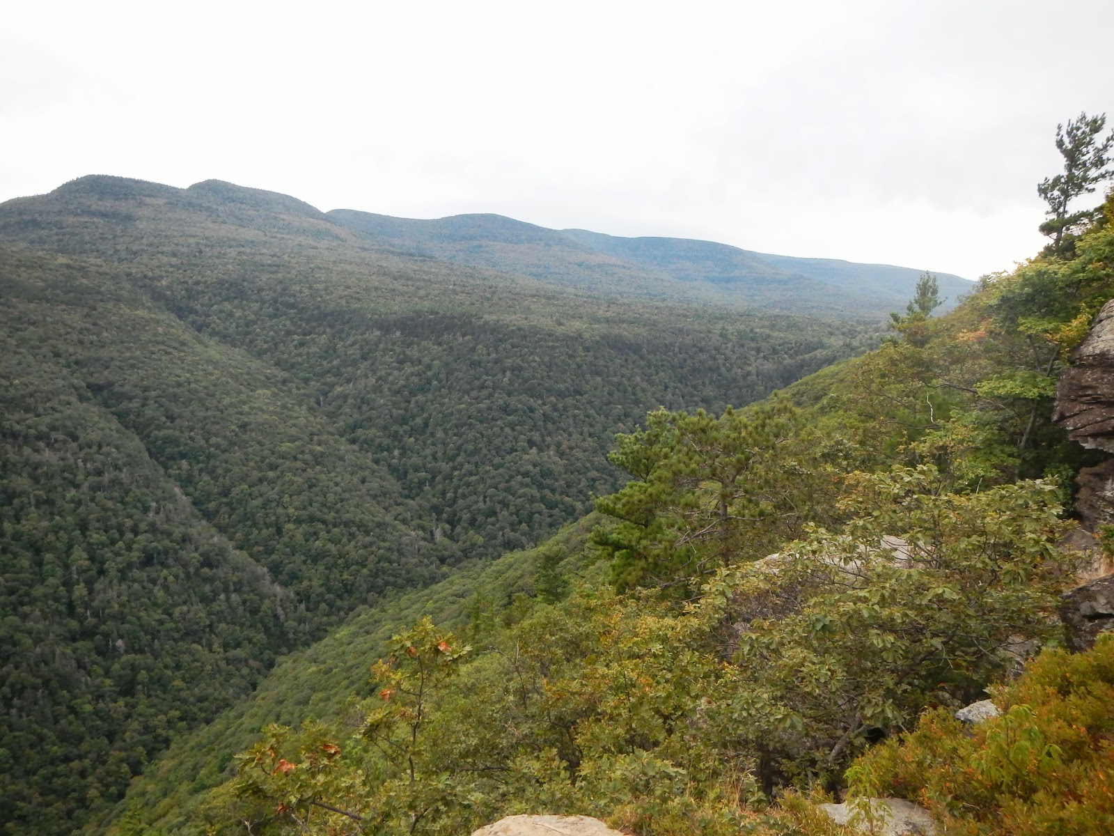 NJ/NY Hikes : Catskills: Kaaterskill High Peak