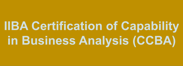 IIBA Certification of Capability in Business Analysis (CCBA) | Process News