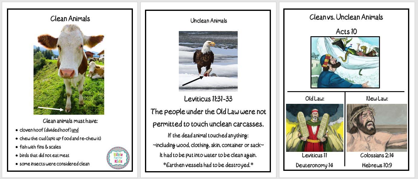 Bible Fun For Kids: Cornelius & Peter’s Vision