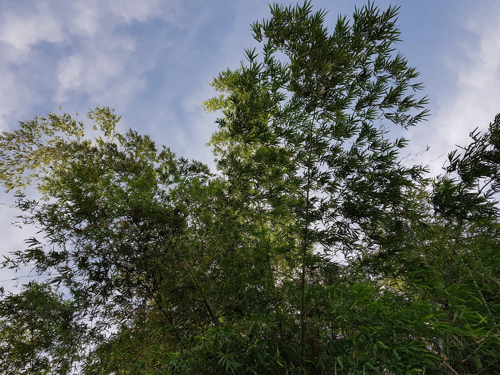 A life of a biologist: July 2014