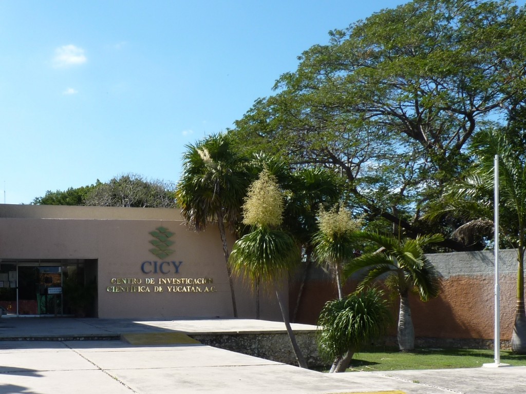 LA VOZ ECOLÓGICA DE YUCATÁN: La voz ecologica de Yucatán