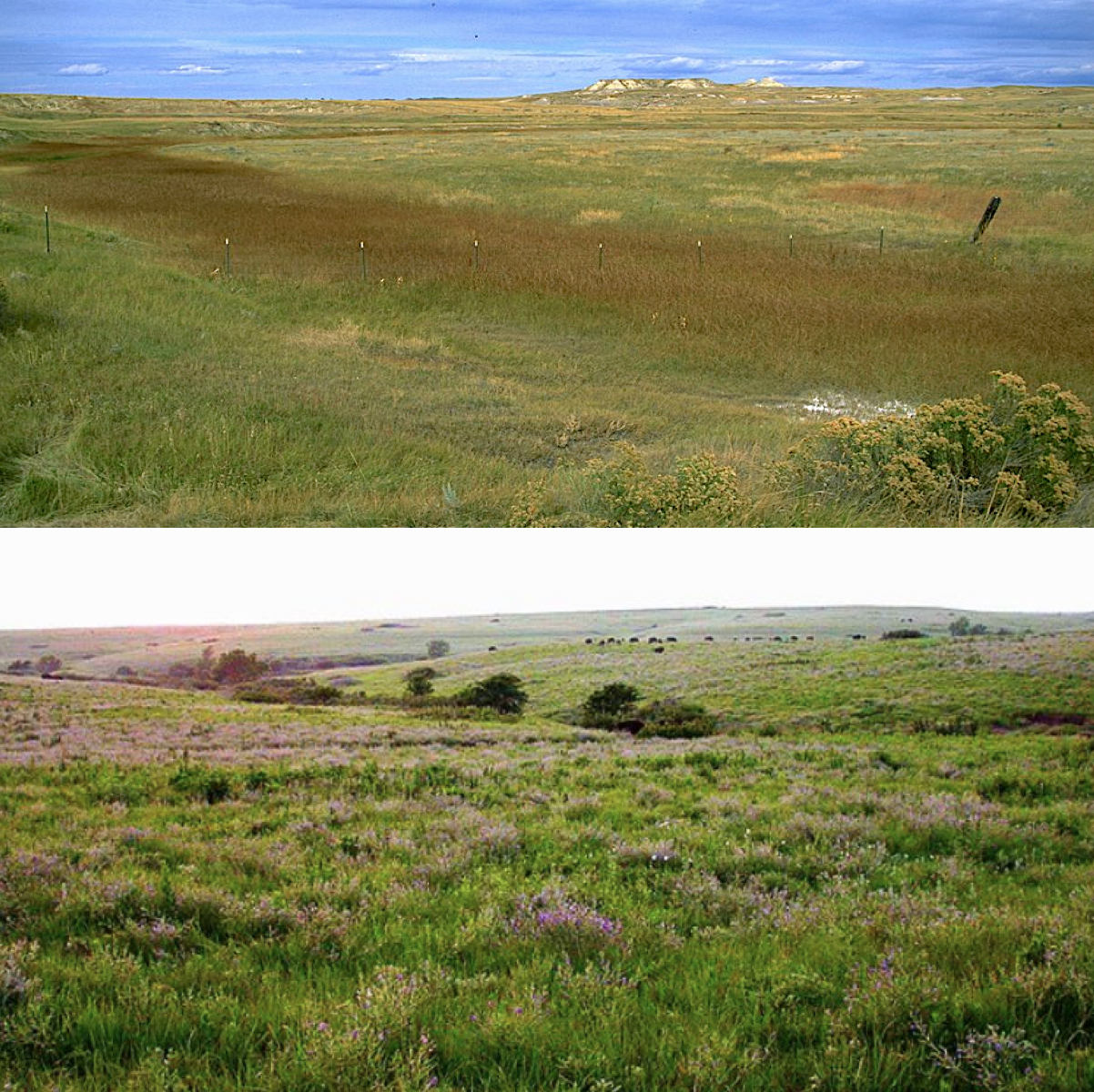 NephiCode: October 2018