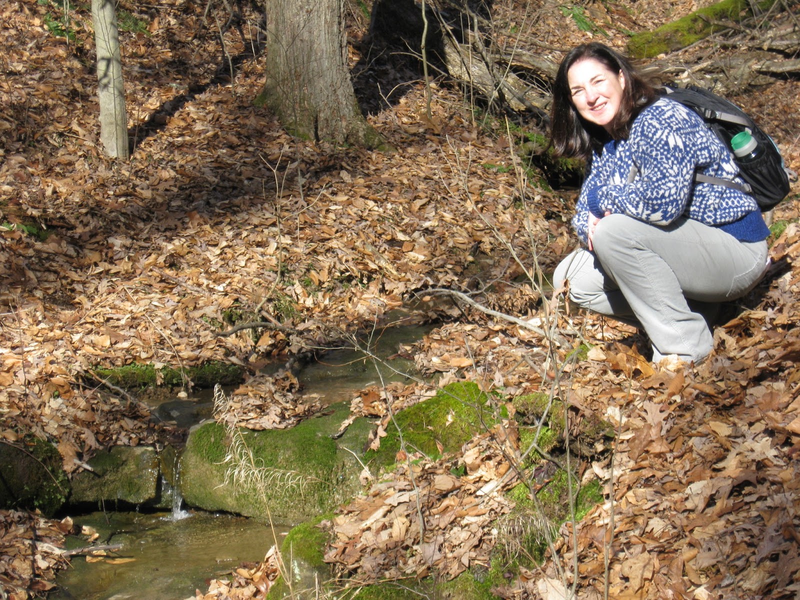 I Heart Hiking: Lamping Homestead Trail, Wayne National Forest