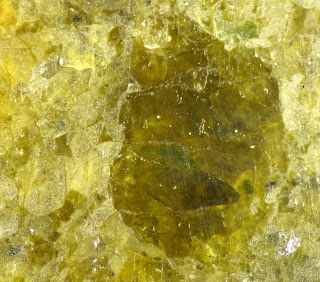 Peridotites: Pyroxene in dunite