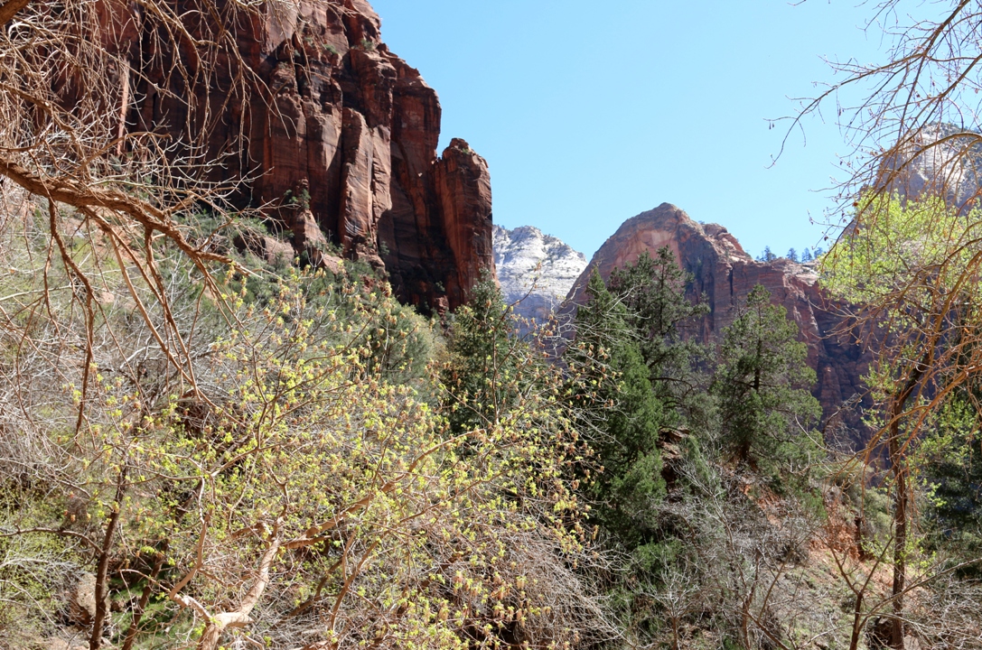 A photo, A thought............: Place: My National Park diary........