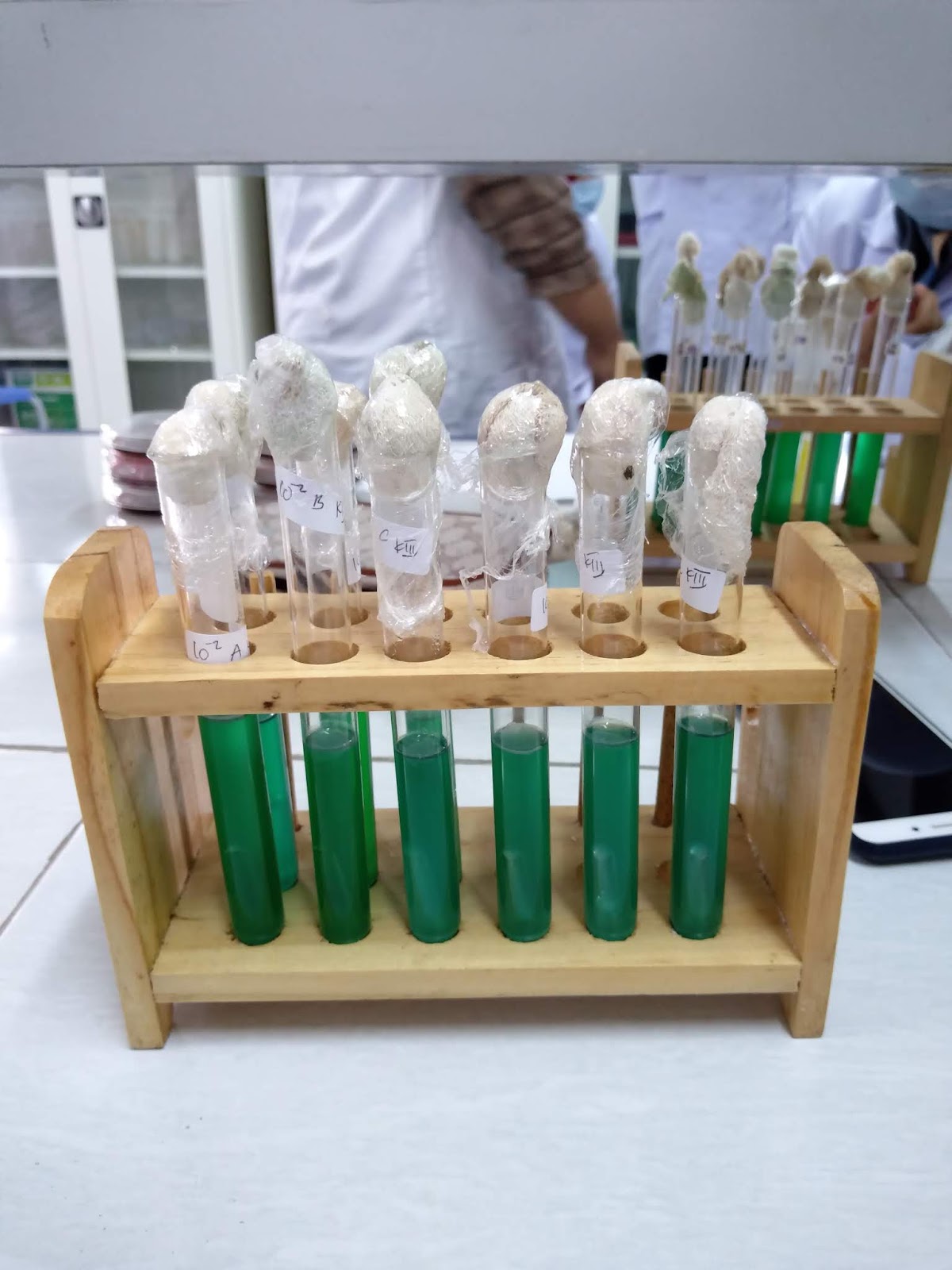 UJI CEMARAN MIKROBA METODE MPN