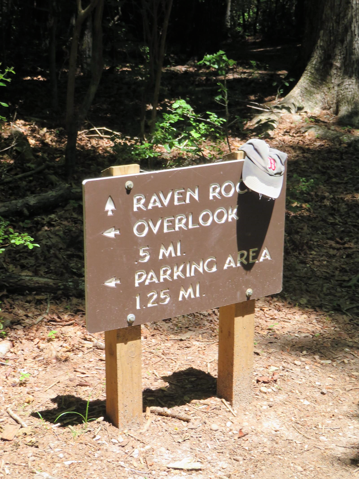 Hiking with a Fat Bald White Guy: RAVEN ROCK STATE PARK - RAVEN ROCK ...