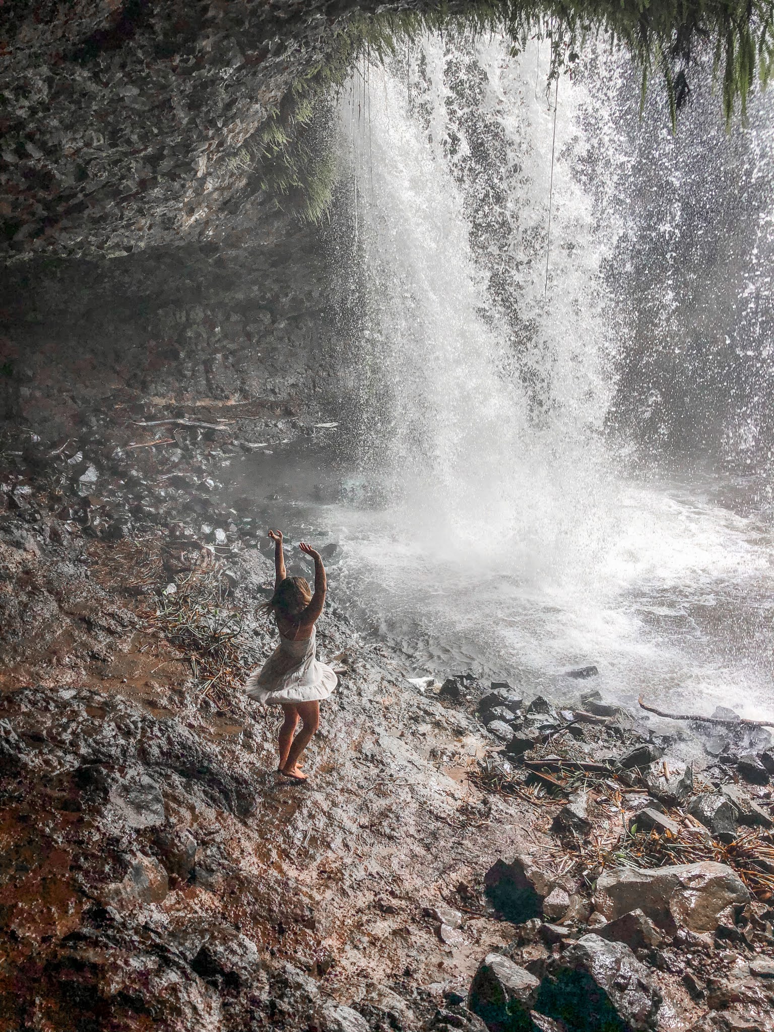 Killen Falls in Byron Bay | Forever Lost