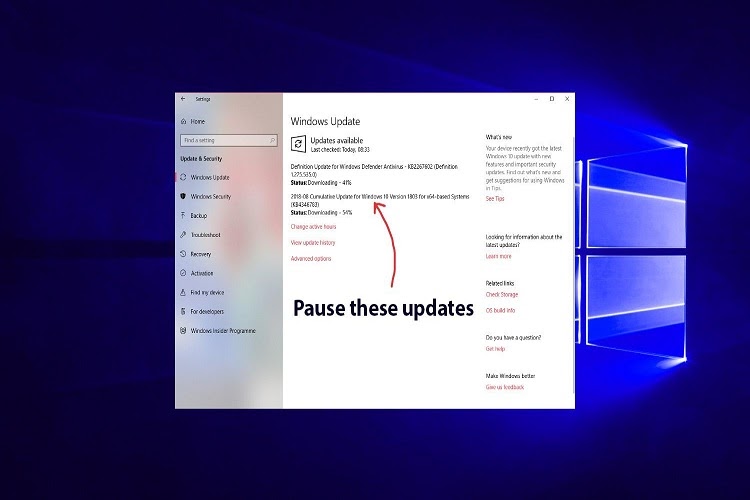 A Guide to Pause Updates on Windows 10