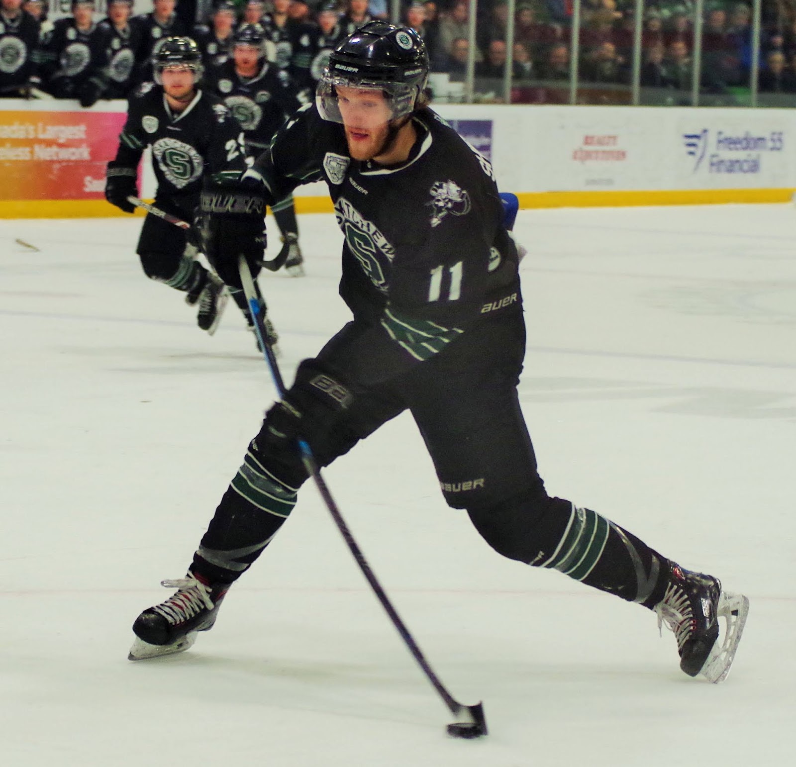 Stanks' Sermon: Hounds bounce Bears from SFMAAAHL playoffs, advance to ...