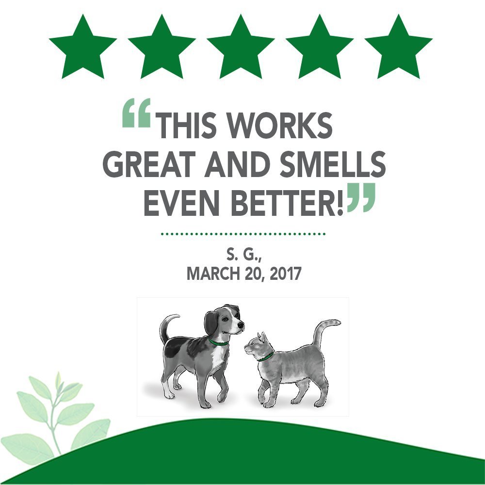 Natural Tick Repellent Dog Collar - Shoo Tag For Dogs - 0Bug!Zone