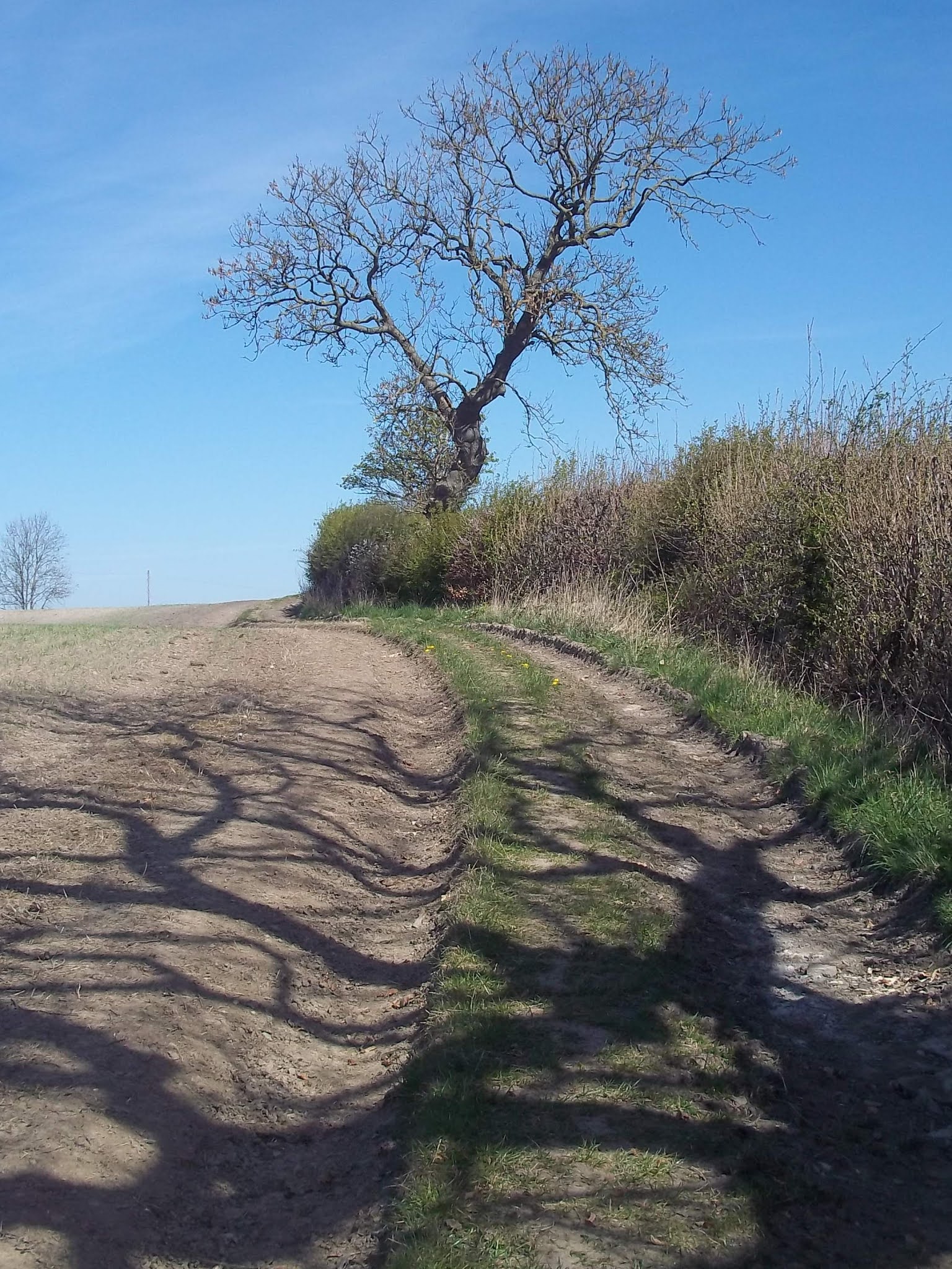 Walking The Peak: Dodworth and Silkstone Walk