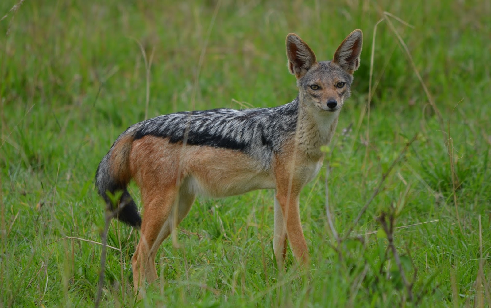 Dentistry Northwest: Photos