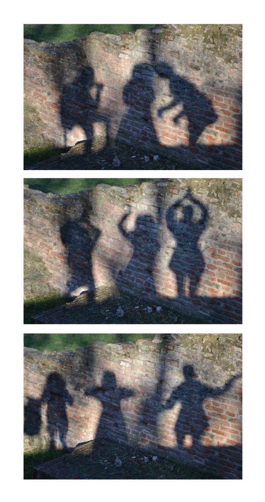 Kathleen Cook's Photos: Diptych and Triptych Photos