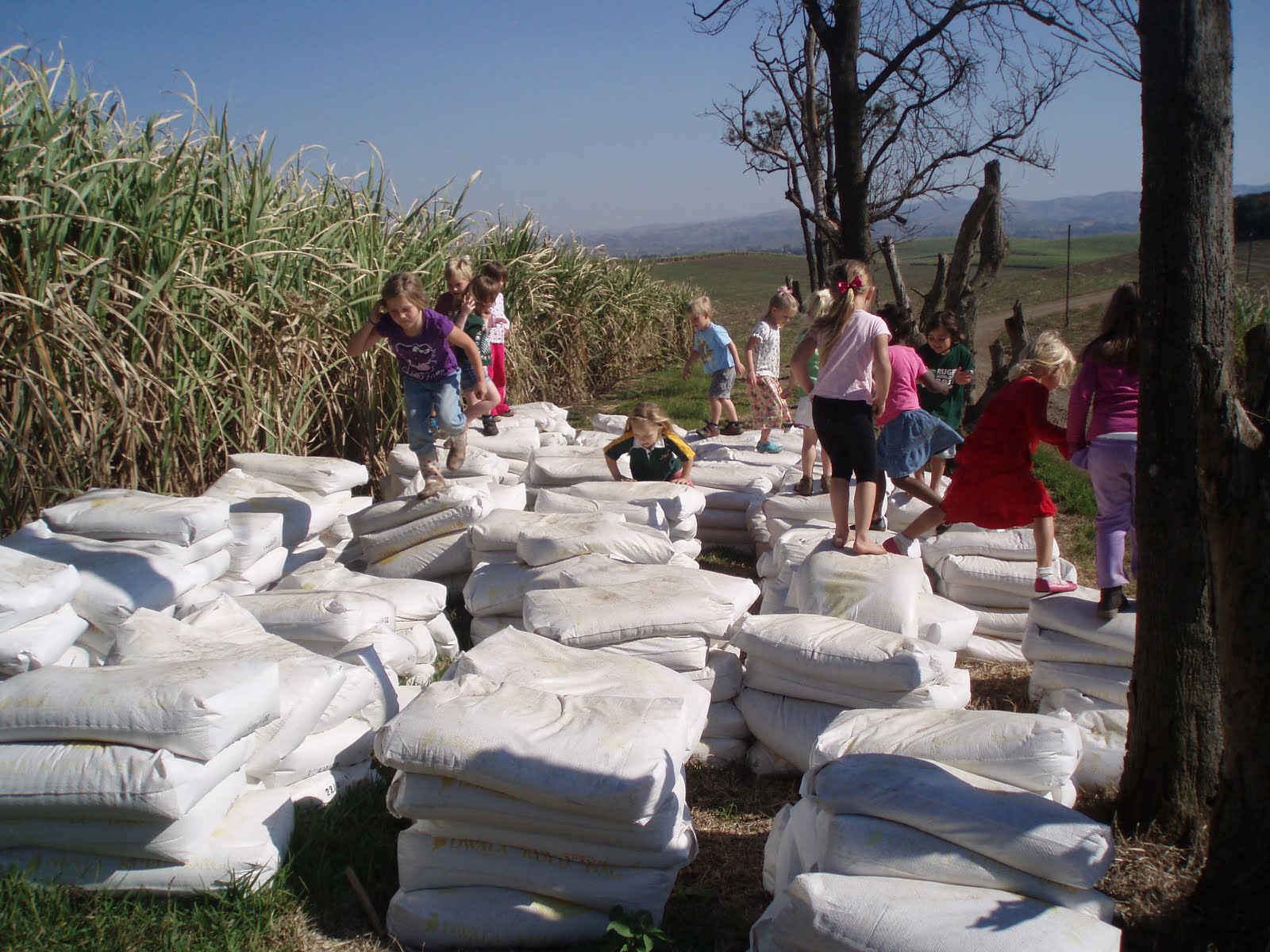 Sugar Tots Pre Primary School