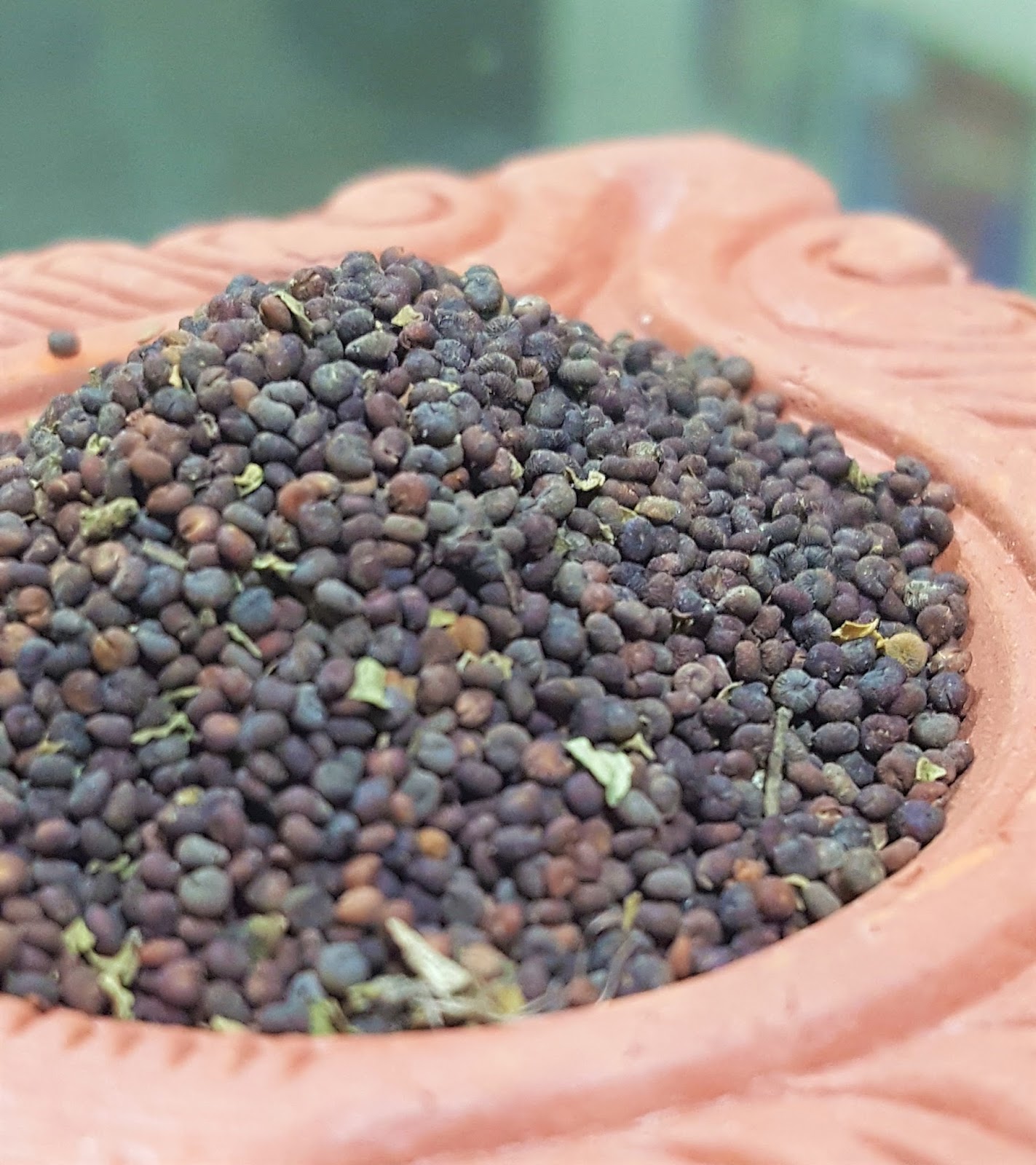 Rushina Munshaw Ghildiyal: Jakhiya - An essential spice in Garhwali ...