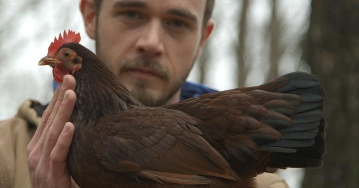 At Darren's World of Entertainment: Chicken People: Film Review