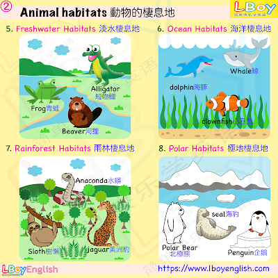 Animal habitats 動物的棲息