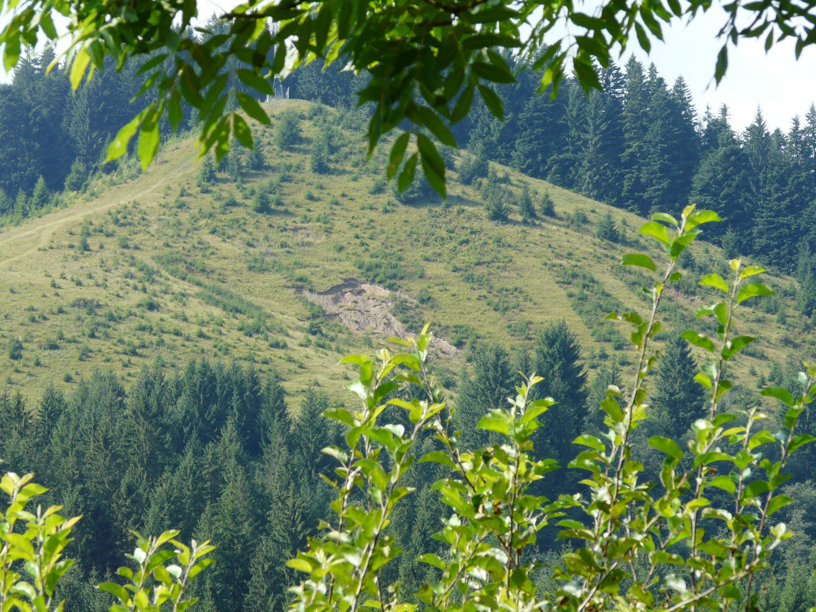 Biblioteca piticilor: Din legendele Putnei