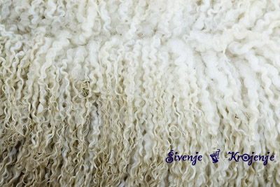 ŠIVENJE I KROJENJE: Vuna-pravi dar prirode