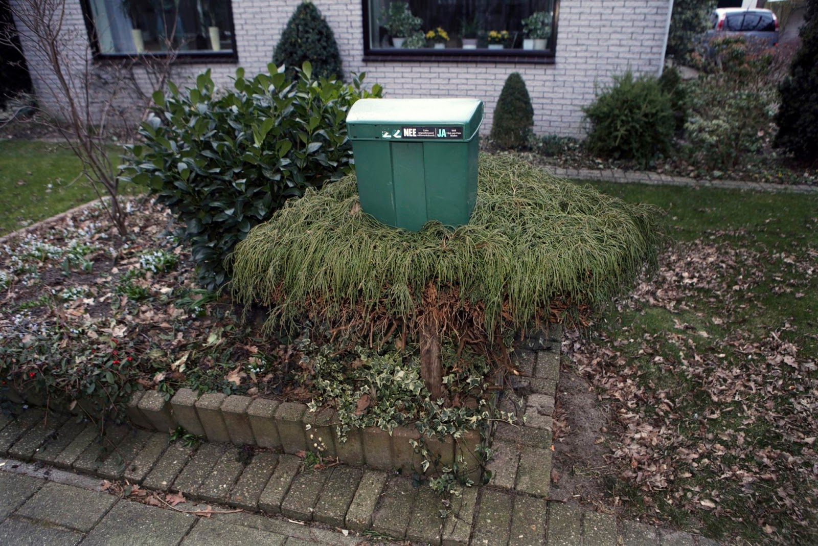 Bint photoBooks on INTernet: The PTT Letterbox in the Dutch Landscape ...