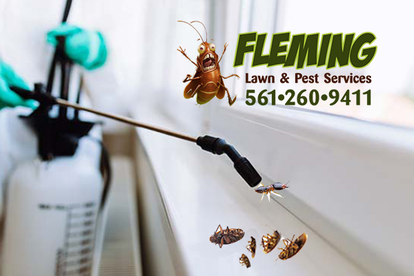 5 commonly make mistakes regarding pest control in Briny Breezes