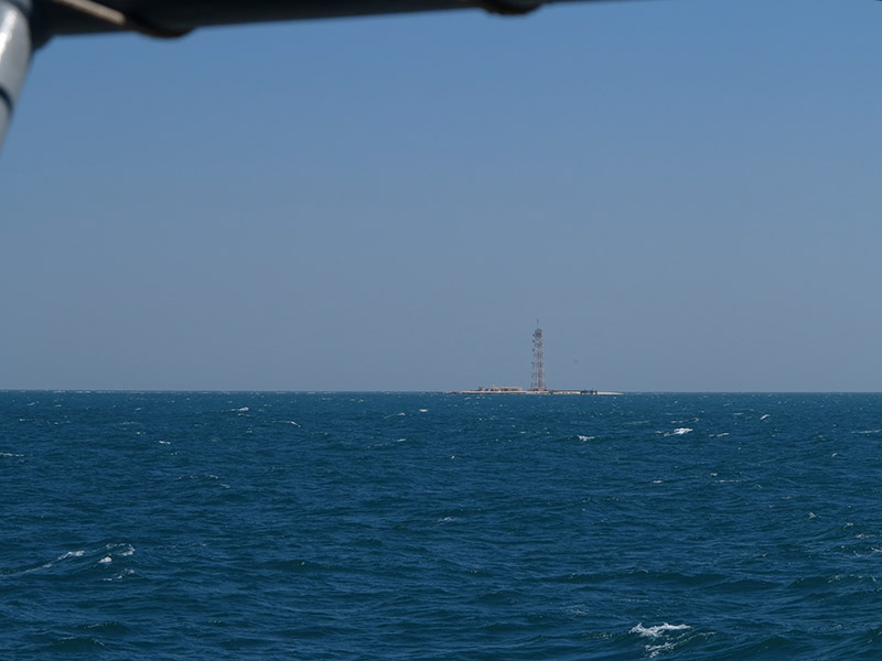 Kuwait Birding: Qaruh Island