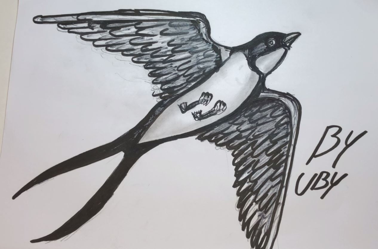 corso per imparare a disegnare: come disegnare una Rondine Tutorial