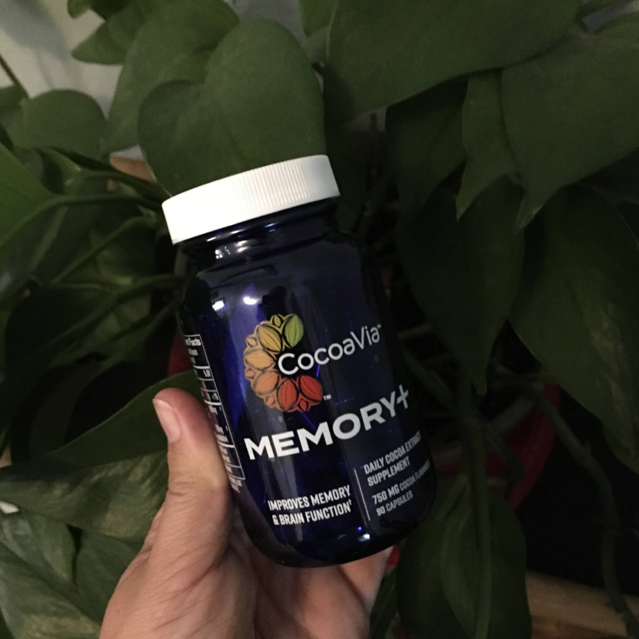Try out the new CocoaVia Memory+ Capsules - The Western New Yorker