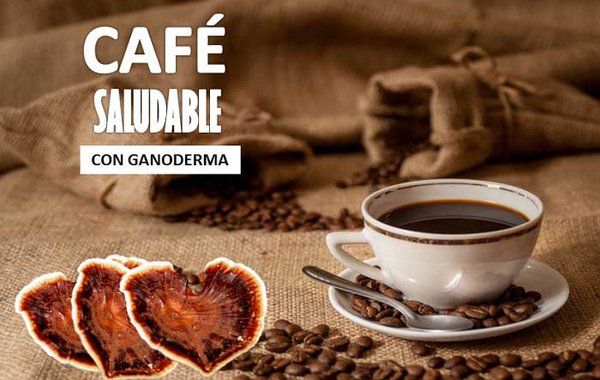 Qué es el Café con GANODERMA y cuales son sus Beneficios