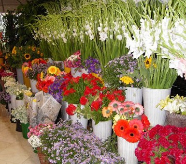 Flower Shop In Jakarta With Delivery Service 24 Hours - Toko Bunga ...