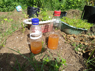 BPP CAMPURDARAT TULUNGAGUNG JAWA TIMUR: PEMANFAATAN LIMBAH RUMAH TANGGA ...